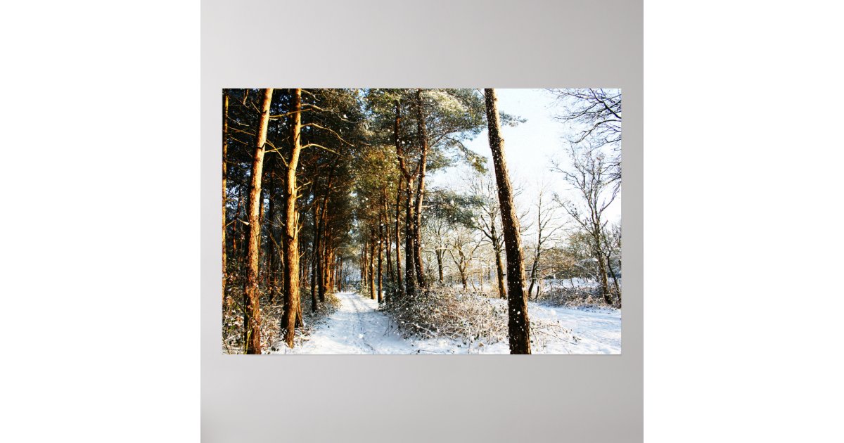 Forest Snow Scene wap arc3 Poster | Zazzle