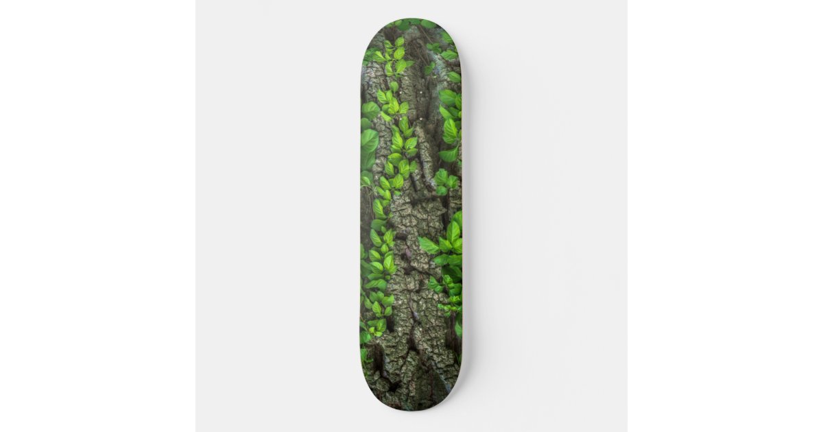 Forest Tree Skateboard Deck | Zazzle