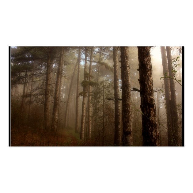 Forest Trees Natural Landscape Business Card Template