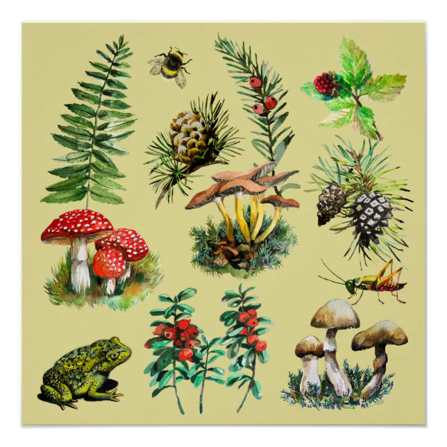 Forest, wild mushrooms poster | Zazzle