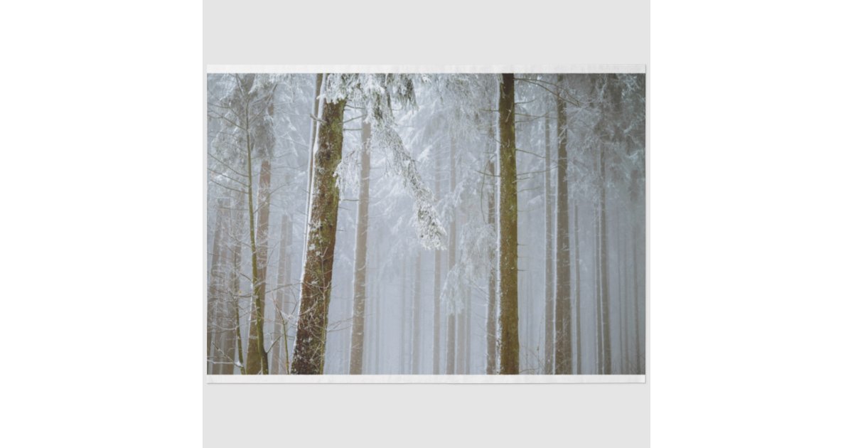 Forest Winter 12 Decoupage Tissue Paper | Zazzle