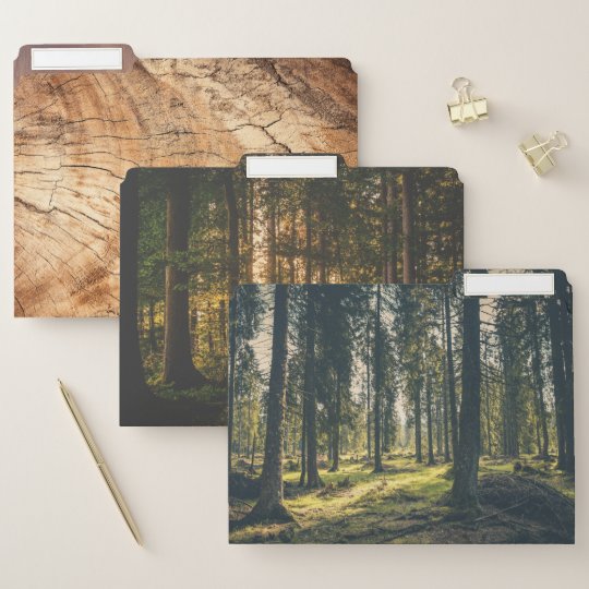 Forest Woods File Folder | Zazzle.com