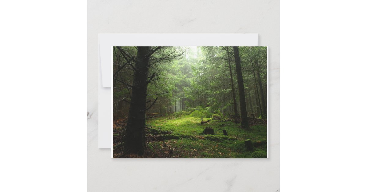Forests | Auvergne France Thank You Card | Zazzle