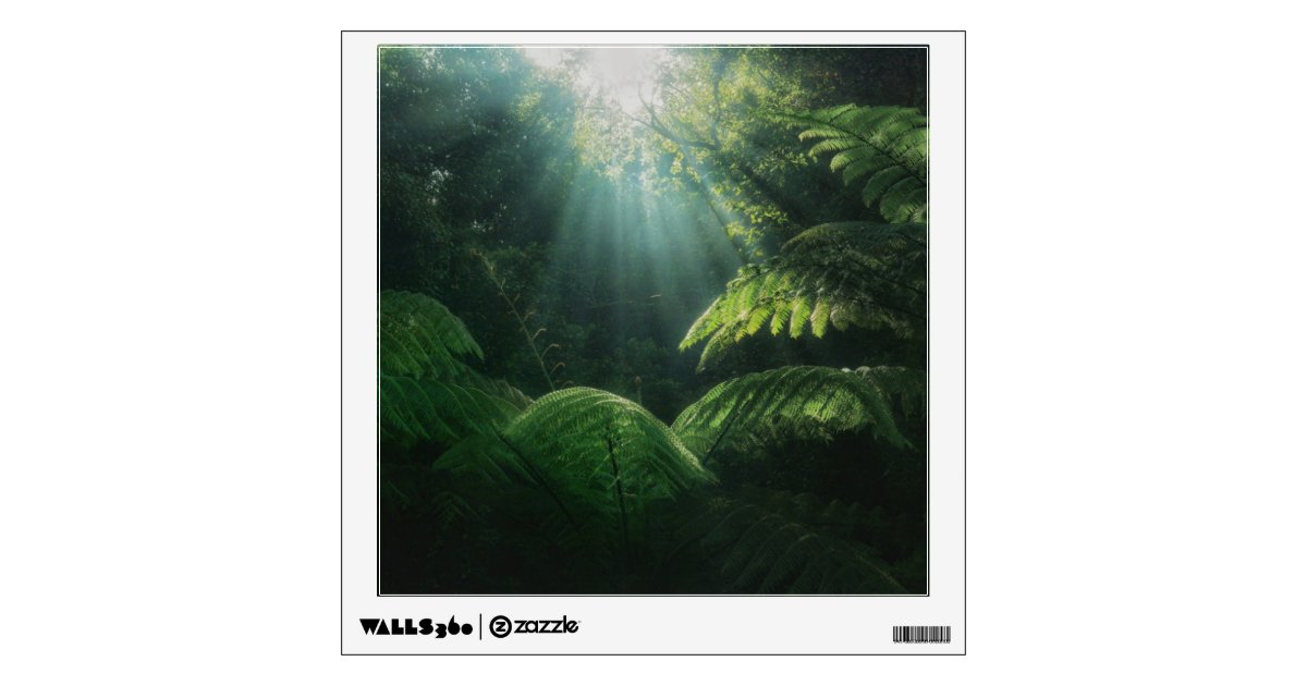 Forests | Ferns in Rainforest Wall Decal | Zazzle