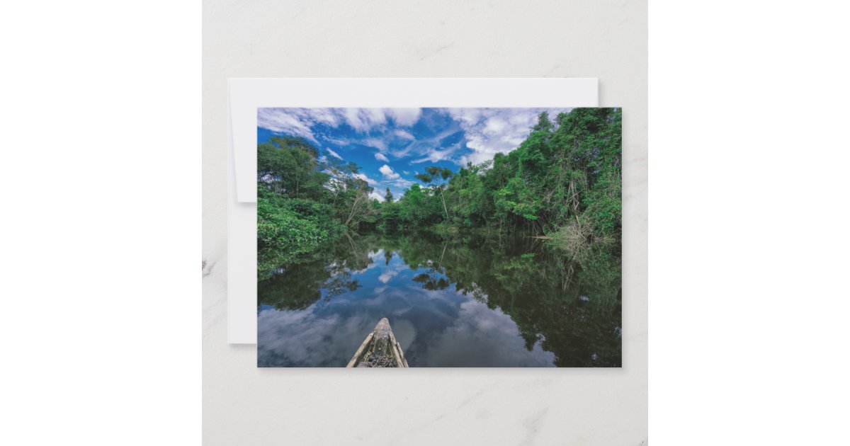 Forests | Peruvian Jungle Forest Thank You Card | Zazzle