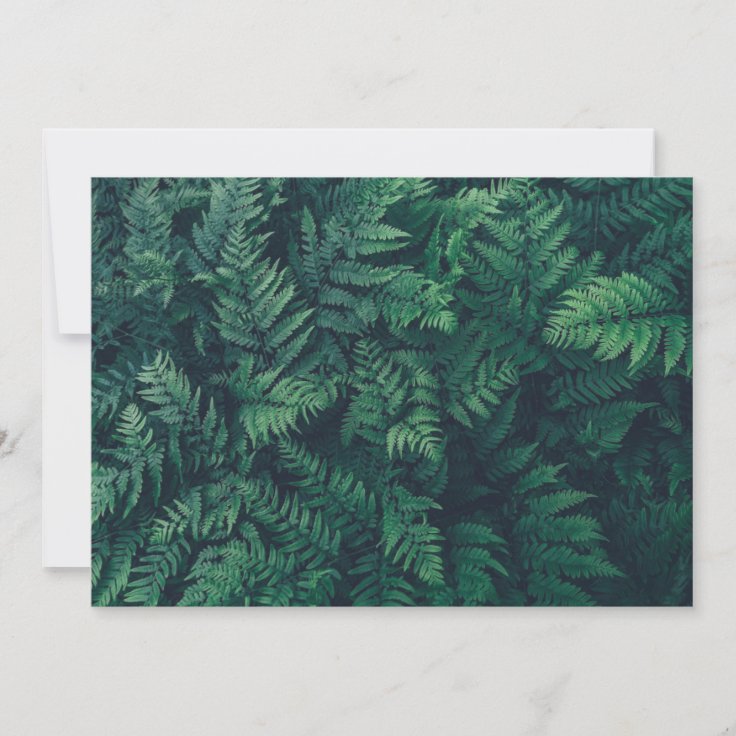 Forests | Woodland Ferns Thank You Card | Zazzle
