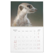 Forever Friends - Meerkat Calendar | Zazzle
