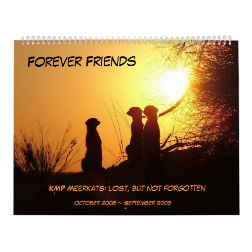 Forever Friends - Meerkat Calendar | Zazzle