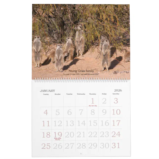 Forever Friends - Meerkat Calendar | Zazzle