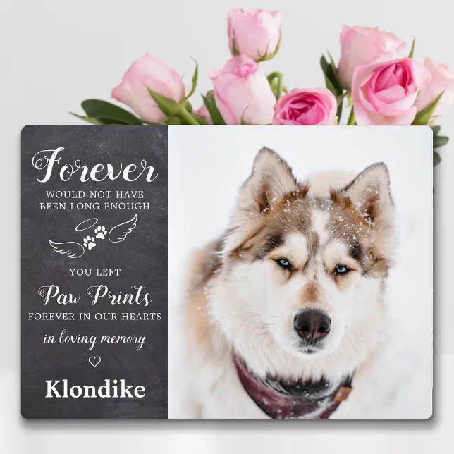 Forever In Loving Memory Custom Photo Pet Memorial Plaque | Zazzle