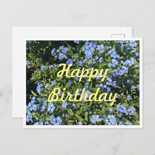 Forget-Me-Not Birthday Postcard | Zazzle
