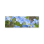 Forget Me Not Bookmark Business Card | Zazzle
