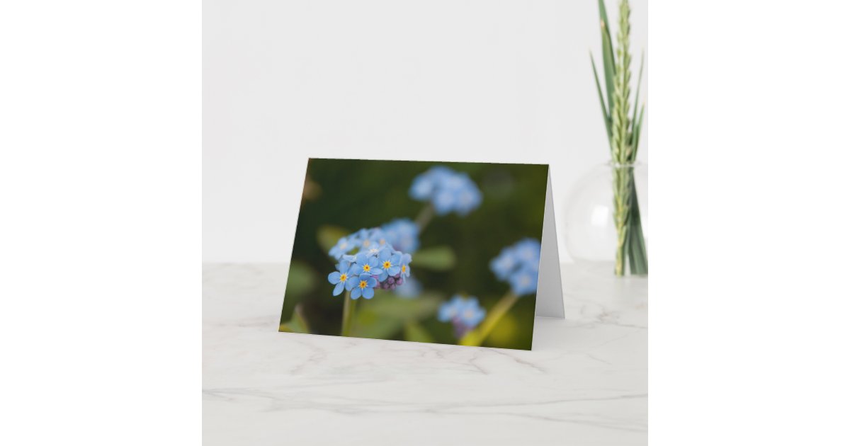 Forget-Me-Not Card | Zazzle
