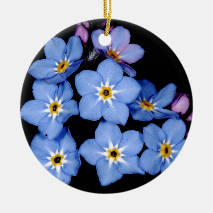 Forget-me-not Ceramic Ornament | Zazzle.com