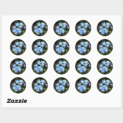 Forget-Me-Not Classic Round Sticker | Zazzle