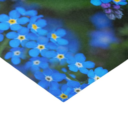 Forget-me-not Floral Tissue Paper | Zazzle