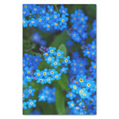 Forget-me-not Floral Tissue Paper | Zazzle