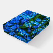 Forget-me-not Flowers Paperweight | Zazzle