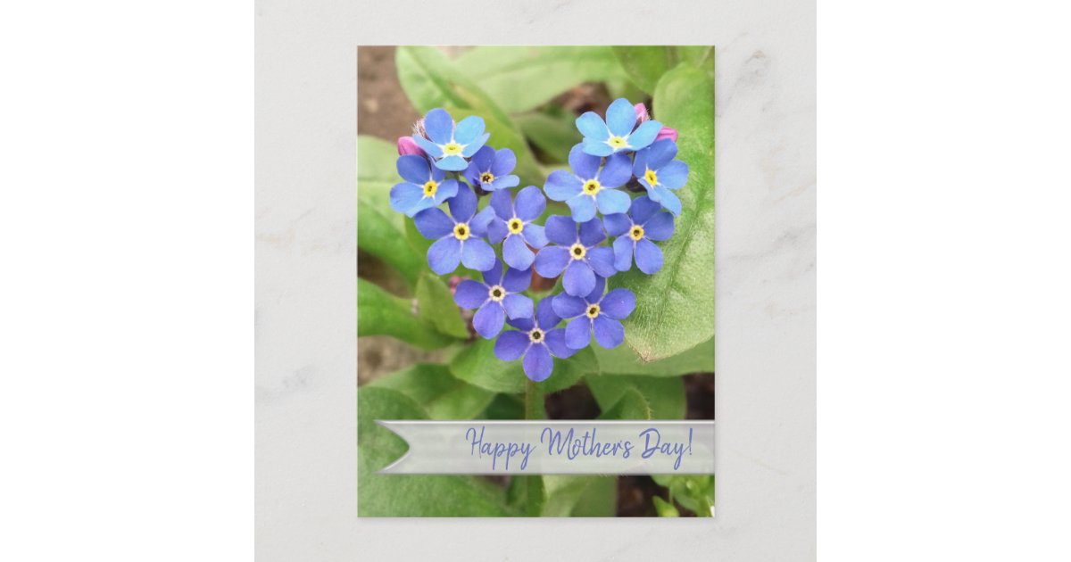 forget-me-not heart - postcard | Zazzle