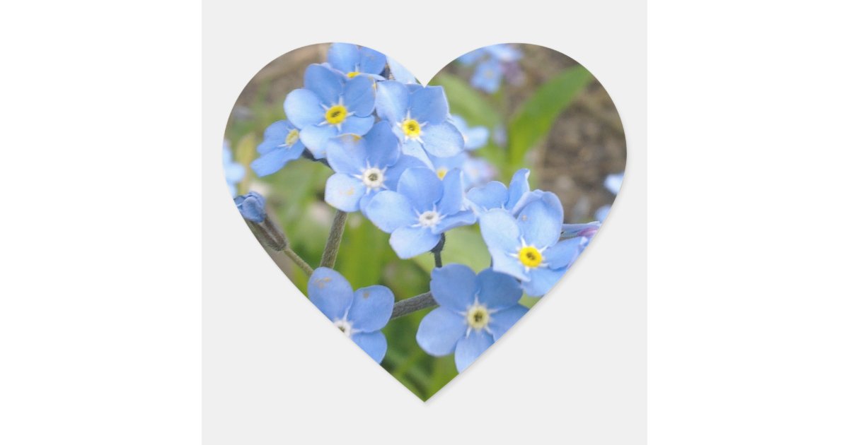 Forget Me Not Heart Sticker | Zazzle