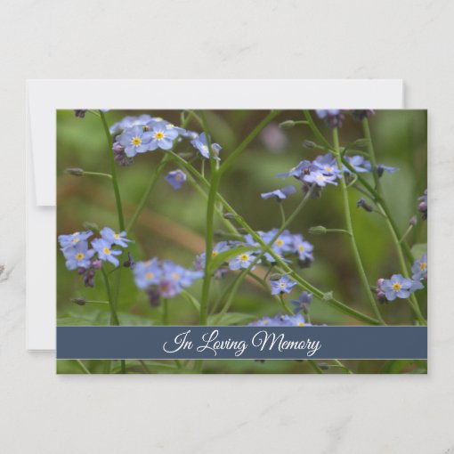 Forget-Me-Not Memorial Service Announcement | Zazzle