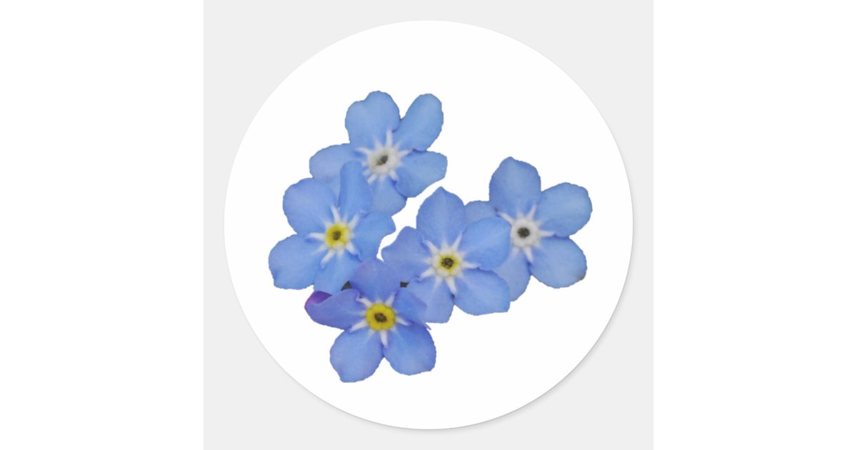 Forget Me Not Sticker | Zazzle