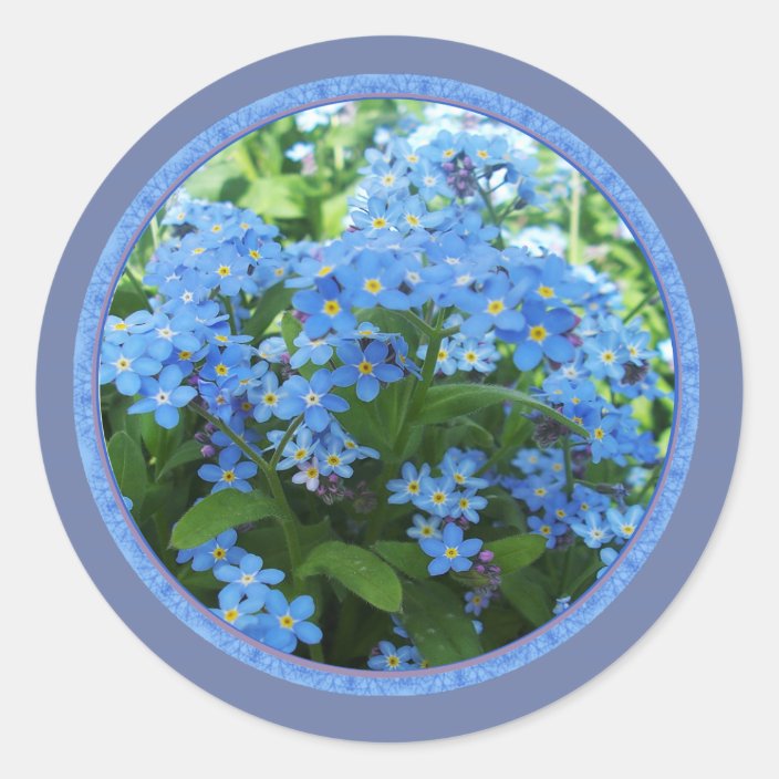 Forget me nots classic round sticker | Zazzle.com