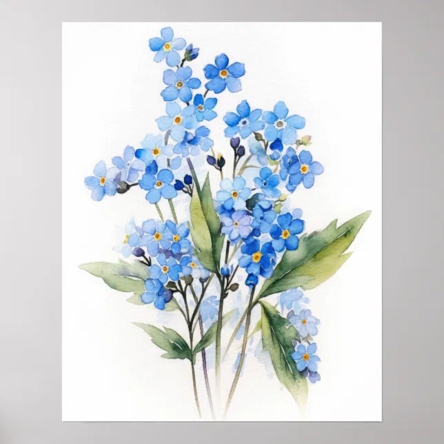 Forget Me Nots Flower Art Print Poster | Zazzle