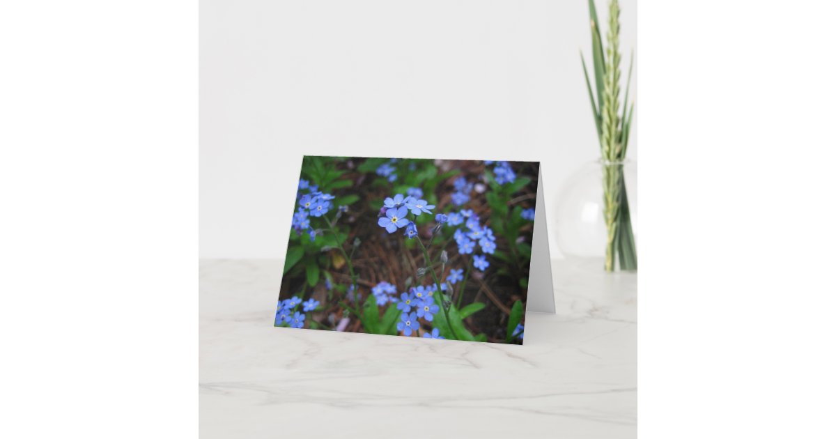 Forget-Me-Nots Notecard | Zazzle