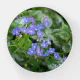 Forget-me-nots Photo Plate Paperweight | Zazzle