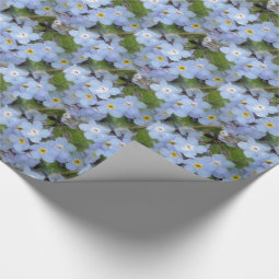 Forget Me Nots Wrapping Paper | Zazzle