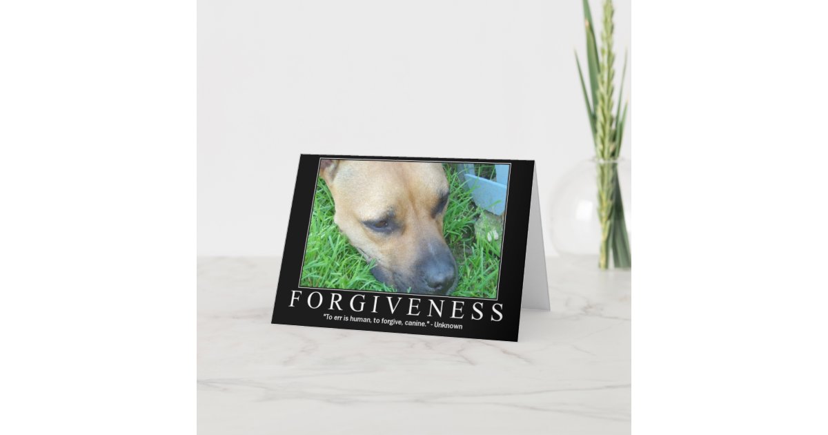 Forgiveness Card | Zazzle