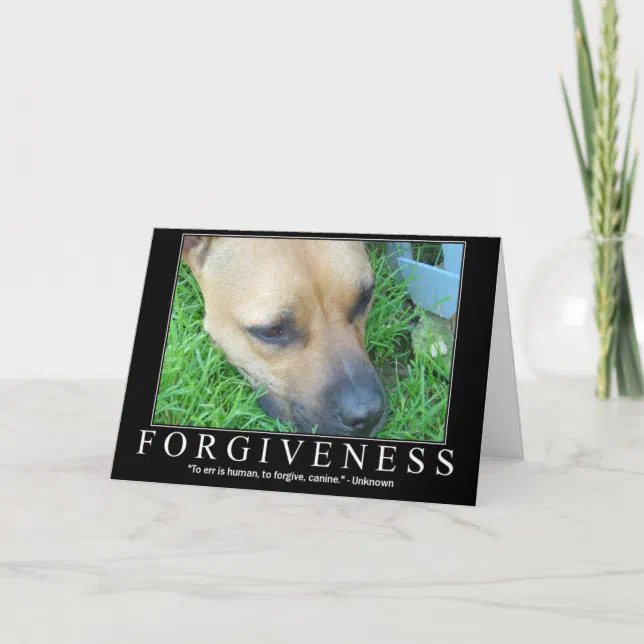 Forgiveness Card | Zazzle