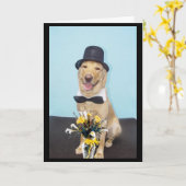 Formal Birthday Wishes Card | Zazzle