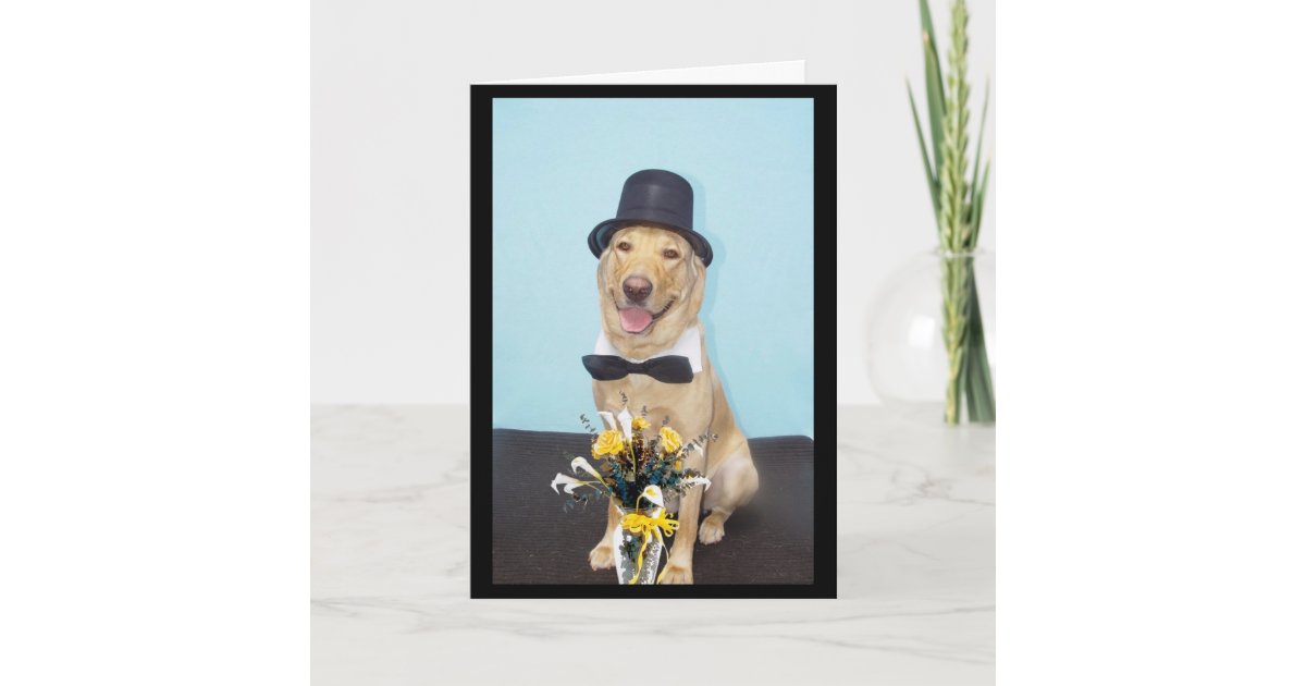 Formal Birthday Wishes Card | Zazzle