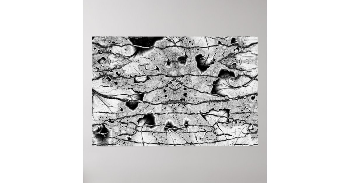 Fossil Poster | Zazzle