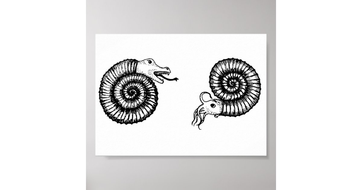Fossil: Snakestone or Ammonite? Poster | Zazzle