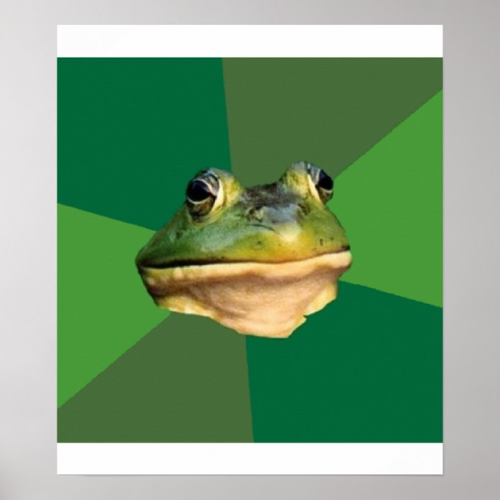 Foul Bachelor Frog Advice Animal Meme Poster | Zazzle