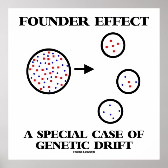 Founder Effect A Special Case Of Genetic Drift Poster | Zazzle.com