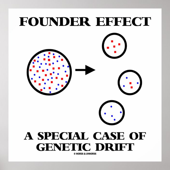 Founder Effect A Special Case Of Genetic Drift Poster | Zazzle.com
