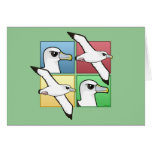 Cute Shy Albatross by Birdorable