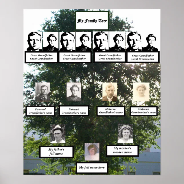 Four-Generation Elm Family Tree Summertime Photos Poster | Zazzle