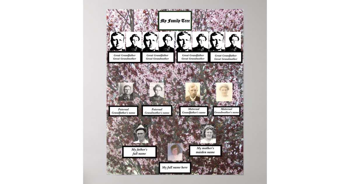 Four Generation Pink Blossom Family Tree Poster | Zazzle
