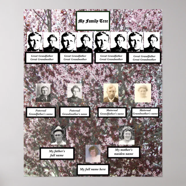 Four Generation Pink Blossom Family Tree Poster | Zazzle