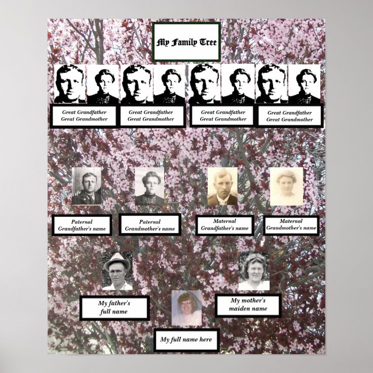 Four Generation Pink Blossom Family Tree Poster | Zazzle