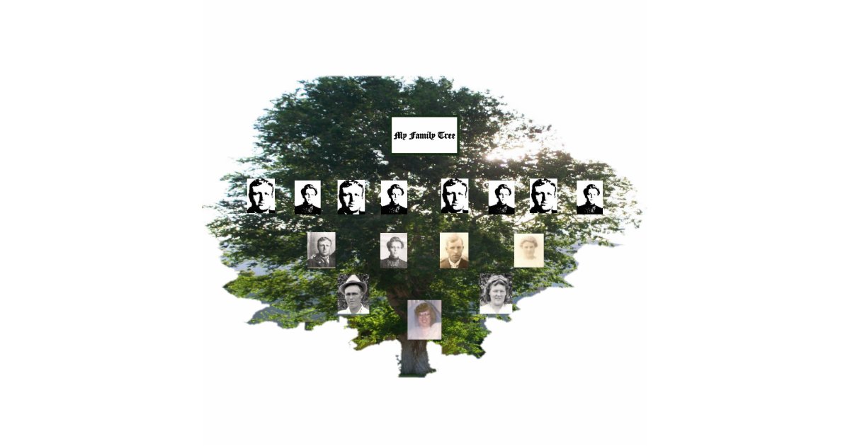 Four-Generation Summer Elm Family Tree Cutout | Zazzle