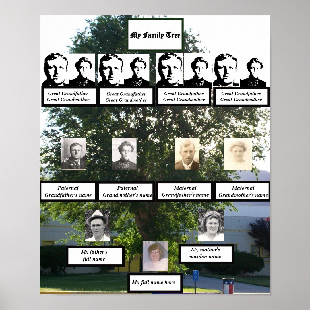 Four-Generation Summertime Elm Family Tree Photos Poster | Zazzle