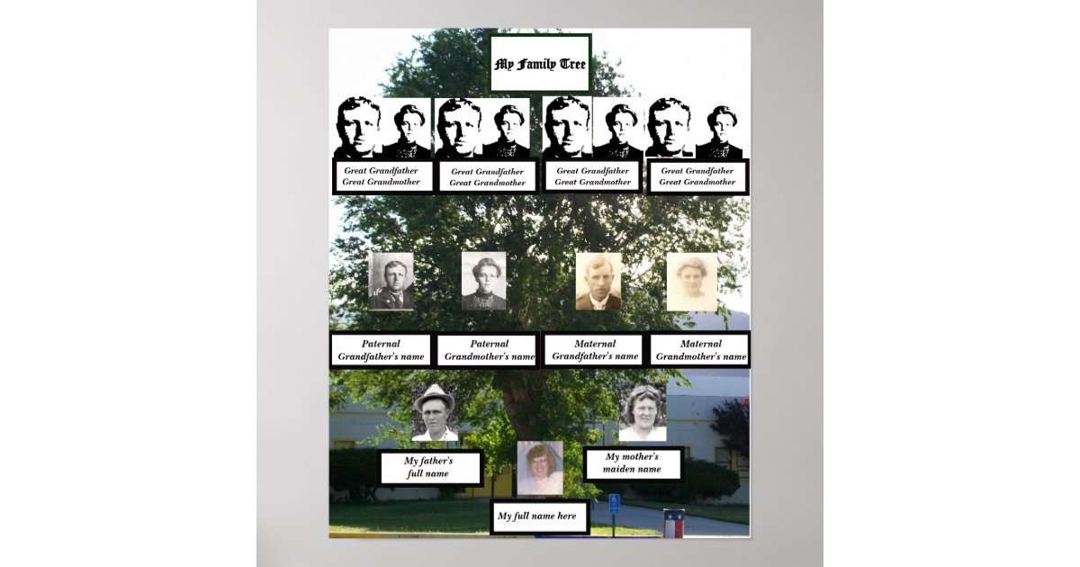 Four-Generation Summertime Elm Family Tree Photos Poster | Zazzle