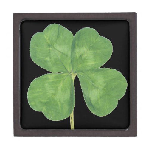 Four Leaf Clover Gift Box Trinket Box Jewelry Box | Zazzle