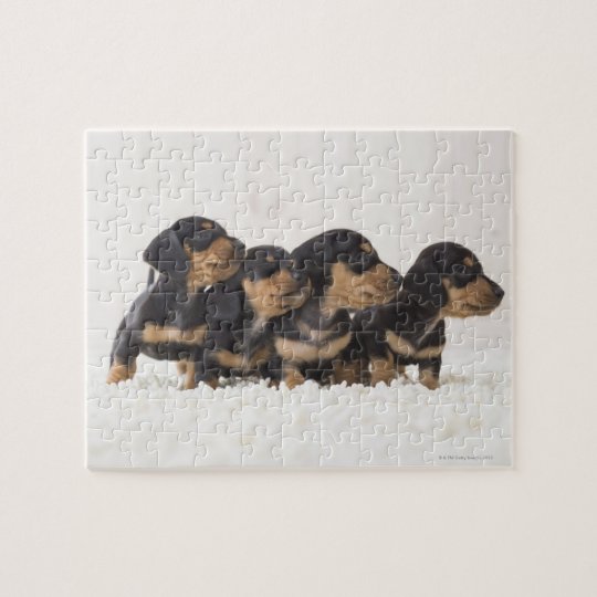 Four Mini Dachshund Jigsaw Puzzle | Zazzle.com